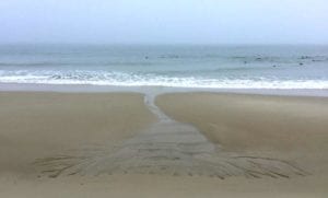 Gina's Sable Island PhotoBlog, October 2017 - January 2018 - Sable ...