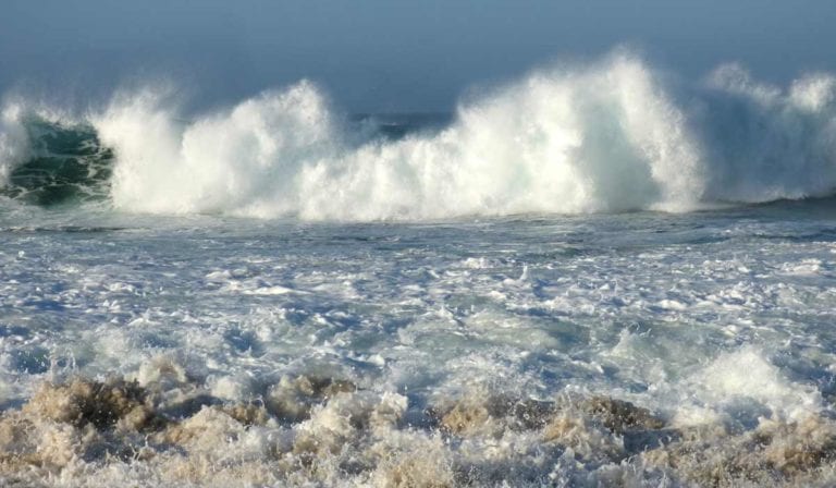 Gina's Sable Island PhotoBlog, October 2017 - January 2018 - Sable ...