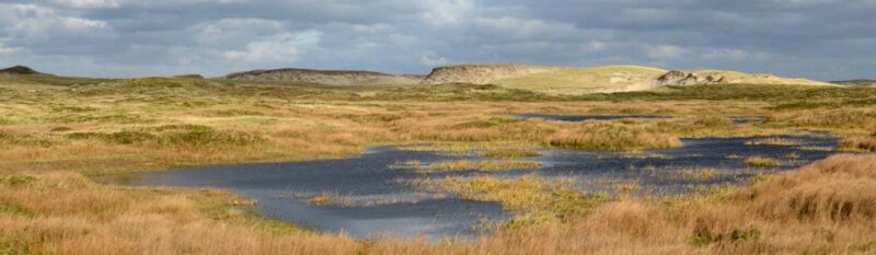 The Sable Island Community – Sable Island Institute