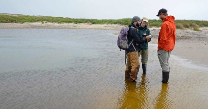 Sable Island Institute | About Sable Island