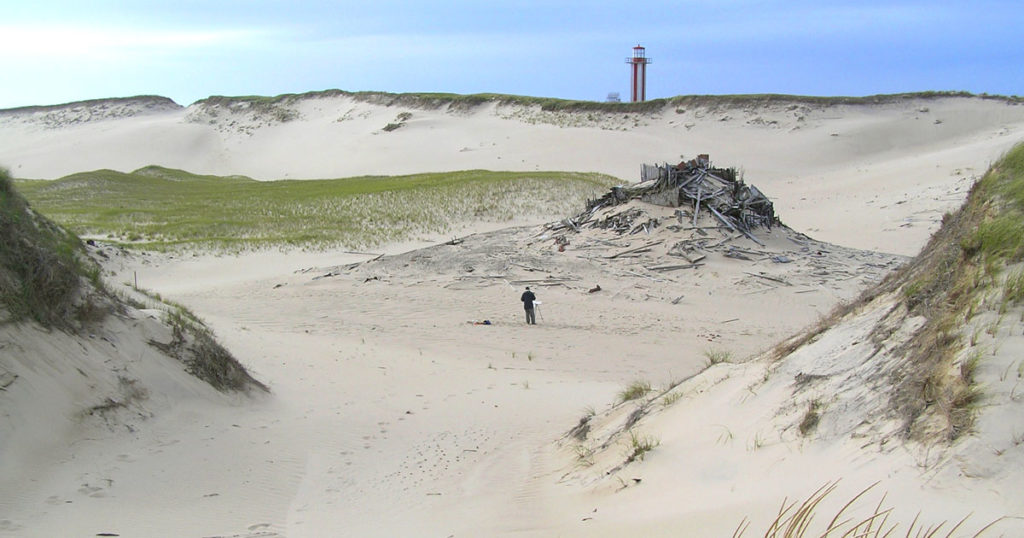 Stories - Sable Island Institute