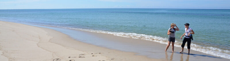 Visit Sable Island! - Sable Island Institute