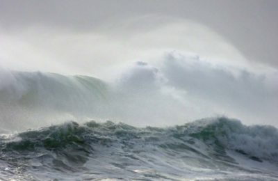 Gina's Sable Island Photoblog, October 2016 - January 2017 - Sable ...