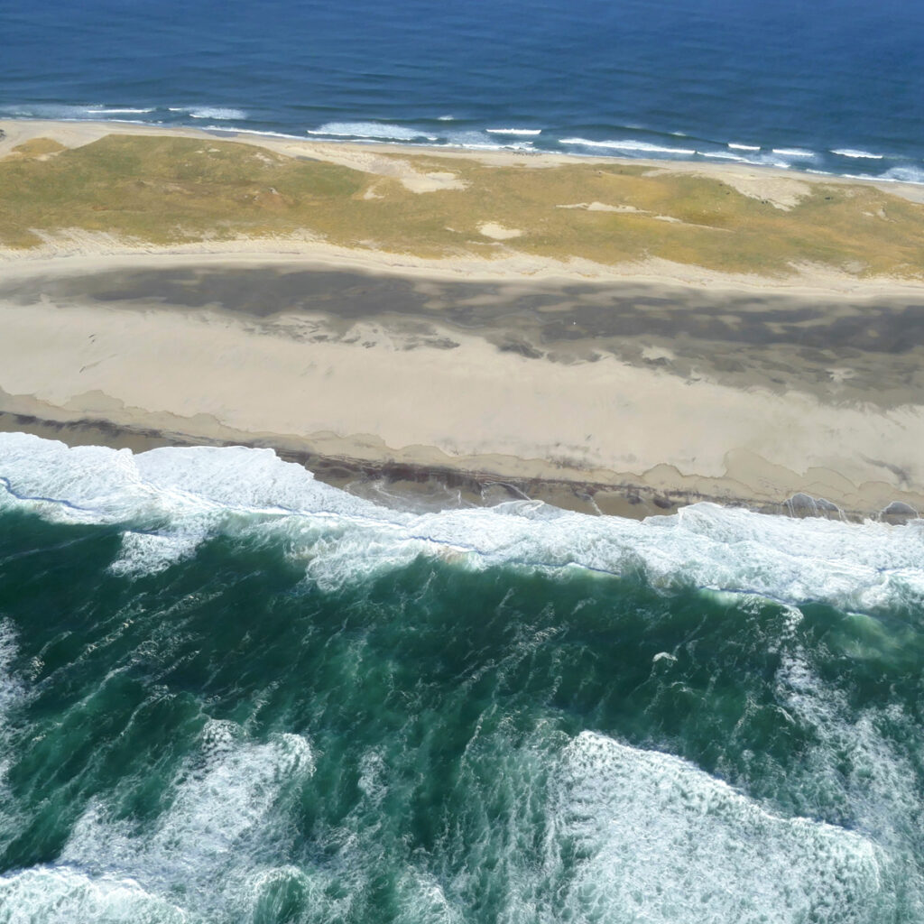 Posted on Facebook, October - November 2021 - Sable Island Institute