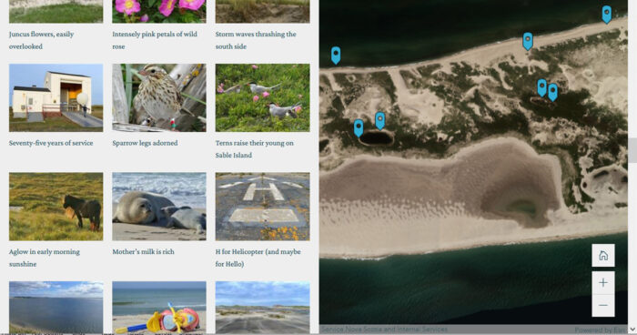 Exploring Sable Island - Sable Island Institute
